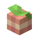 25% chance to attract a female Pokémon