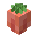 File:Persim Berry (model).png - Cobblemon Wiki