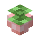 File:Pecha Berry (model).png - Cobblemon Wiki